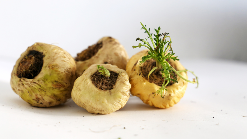 Maca Peruana Preta, vermelha e amarela: qual a diferença - Melhores Hub